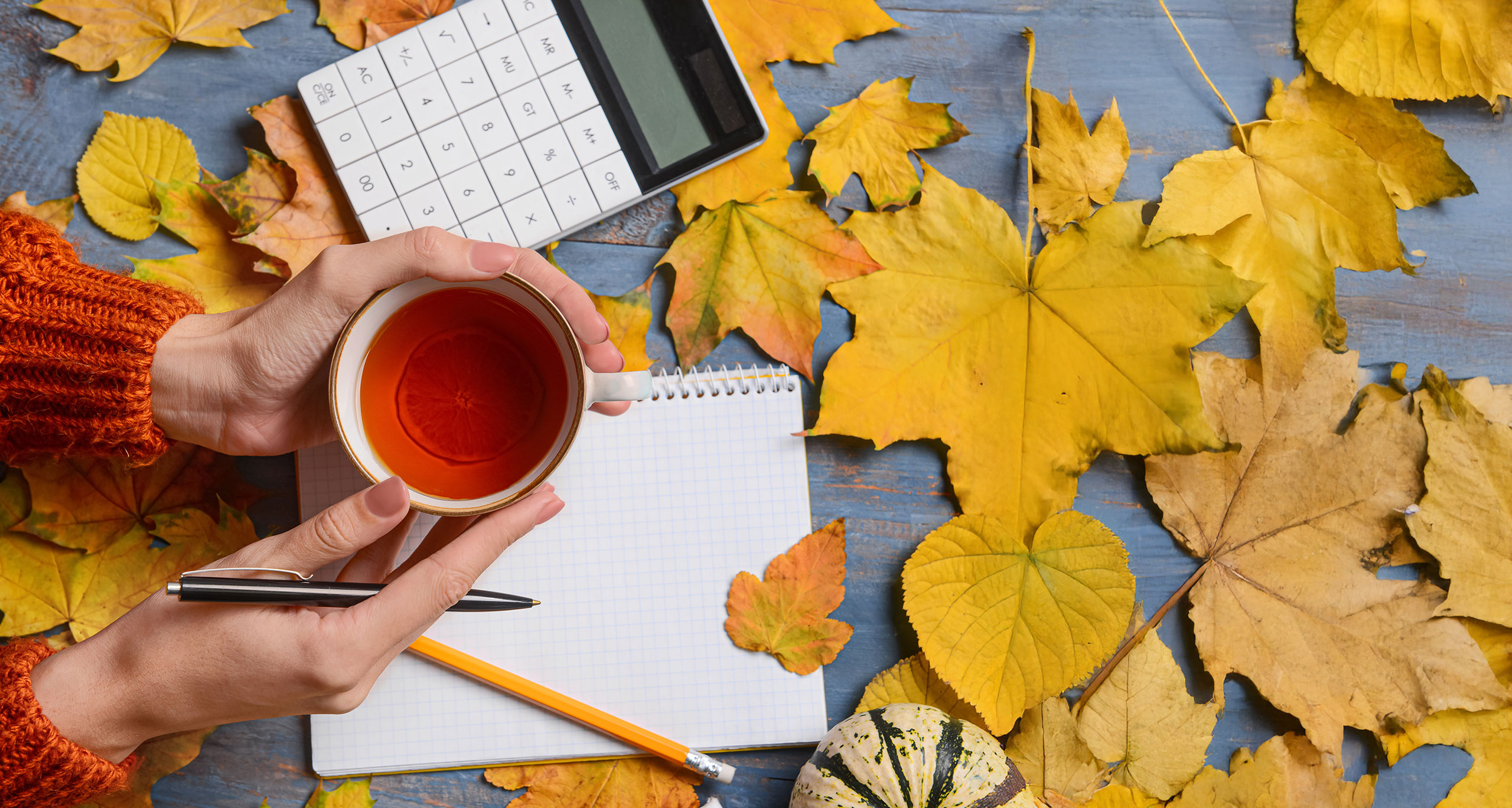 Fall Financial Reset: A Guide to Tackling Debt - Debt Relief Programs | American Credit Card ...